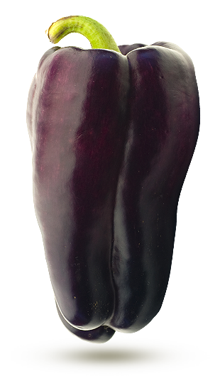 Détail produit - fraicheurquebec.com